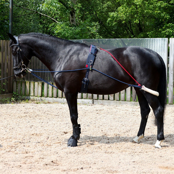 Whitaker Training System Self Carriage Lunge Lunging Pessoa ...
