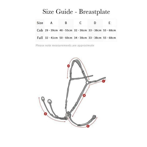 LeMieux Bridge Breastplate & Removable Martingale 3 Point Hunter Girth ...