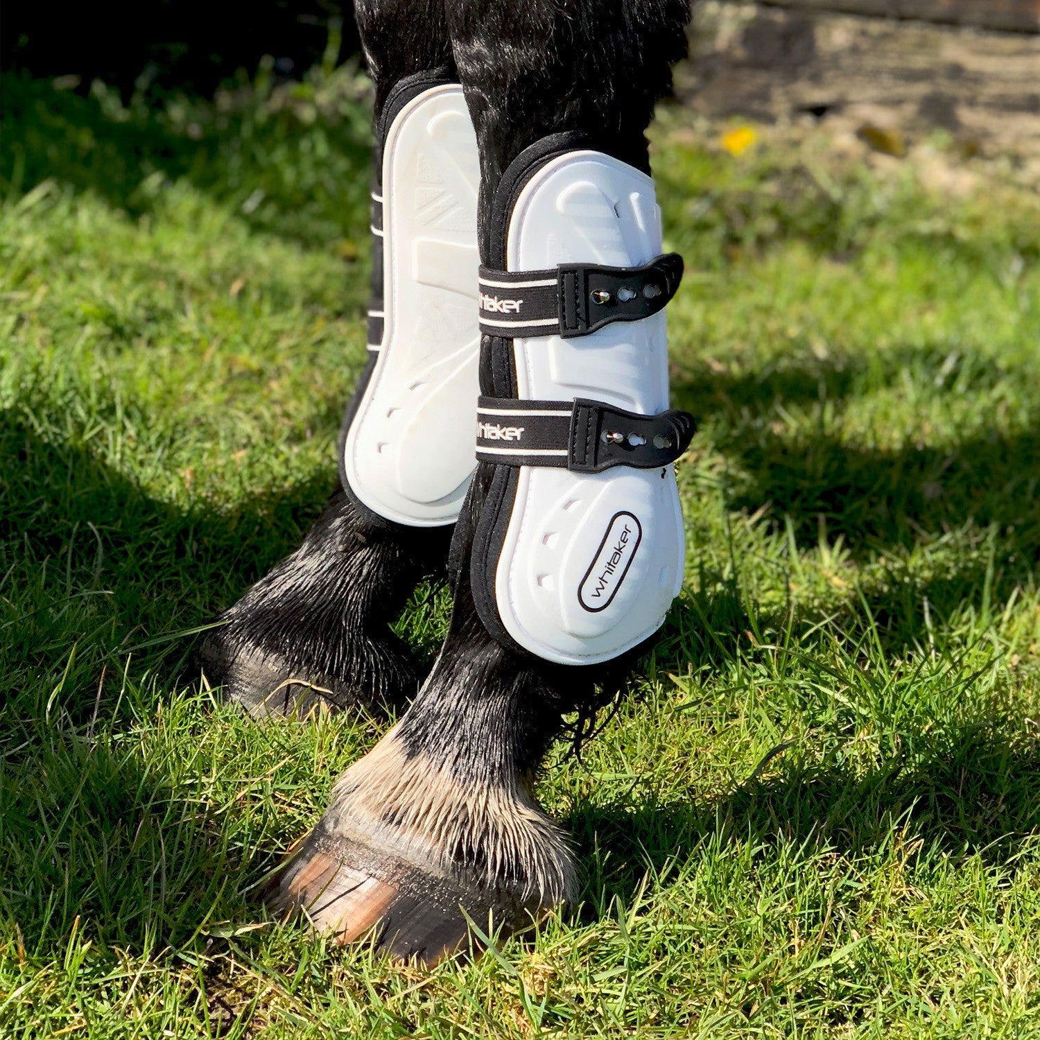 Whitaker Bingley Approved For UK Competition Tendon & Fetlock Boots ...