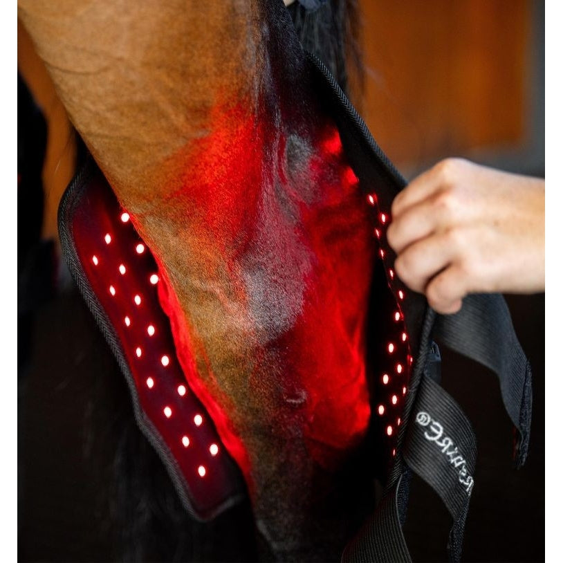 Horseware LED Red Light Therapy Hock Boot Deep Tissue Injury Infrared ...