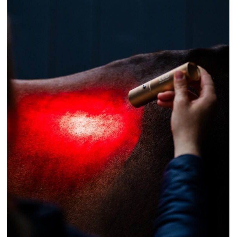 Horseware LED Red Light Therapy Wand Dermal & Deep Tissue Injury ...