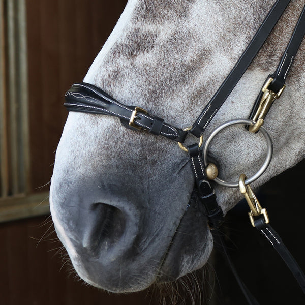 Whitaker Rome Fancy Stitch Dropped Noseband Drop Bridle + 9 Loop Rubber ...