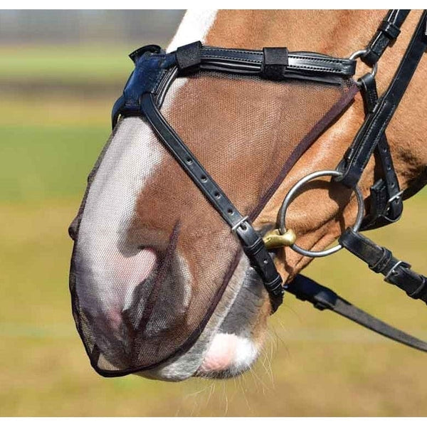 Equilibrium Nose Muzzle Net Relief Pollen Relief Head Shaking Grackle ...