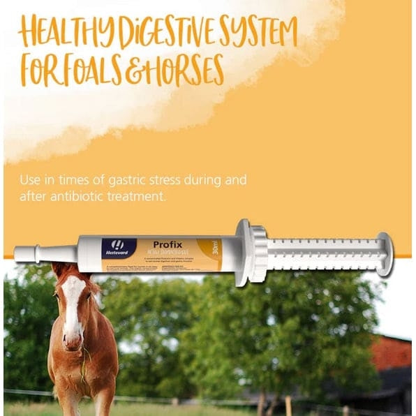 Hestevard Profix Paste Oral Syring High Concentrated Digestive System ...