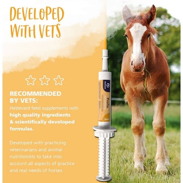 Hestevard Profix Paste Oral Syring High Concentrated Digestive System ...