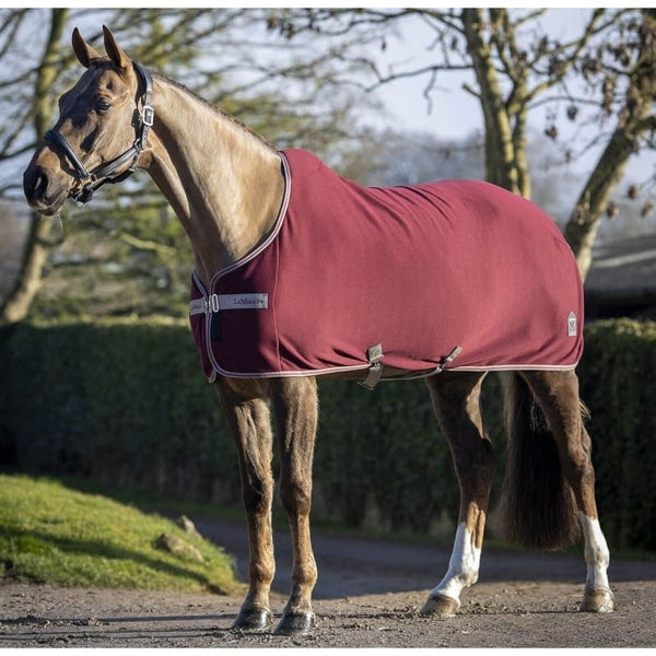 LeMieux ARIKA JERSEY-TEK Wicking Muscle Cooler Post Exercise RUG - Cork ...