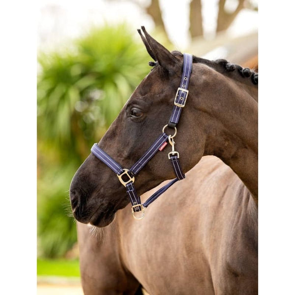 LeMieux Essential Yard Headcollar Padded Head Collar Durable Nylon Cob ...