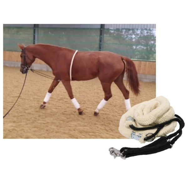 Mark Todd Lunging Aid Soft German Cotton Lunge Rope Harry Helps Stretch ...